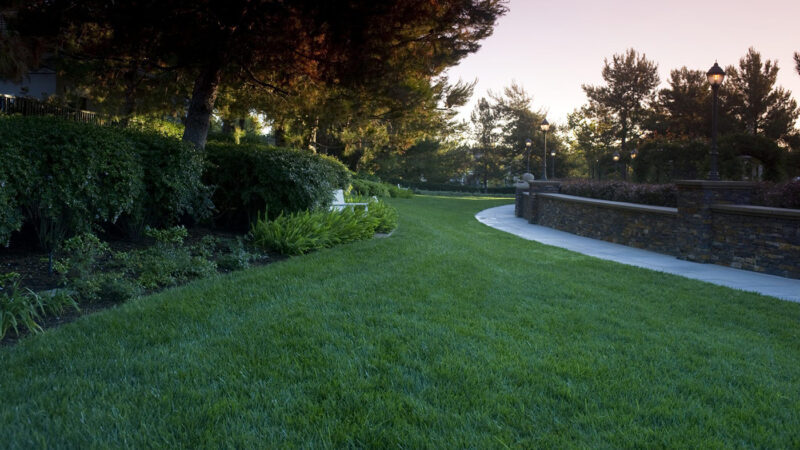 One Ford Road - Bemus Landscape