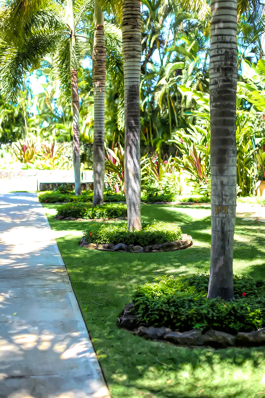 Projects - Bemus Landscape