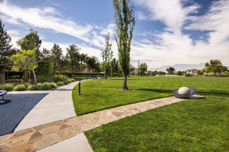 College Park - Bemus Landscape