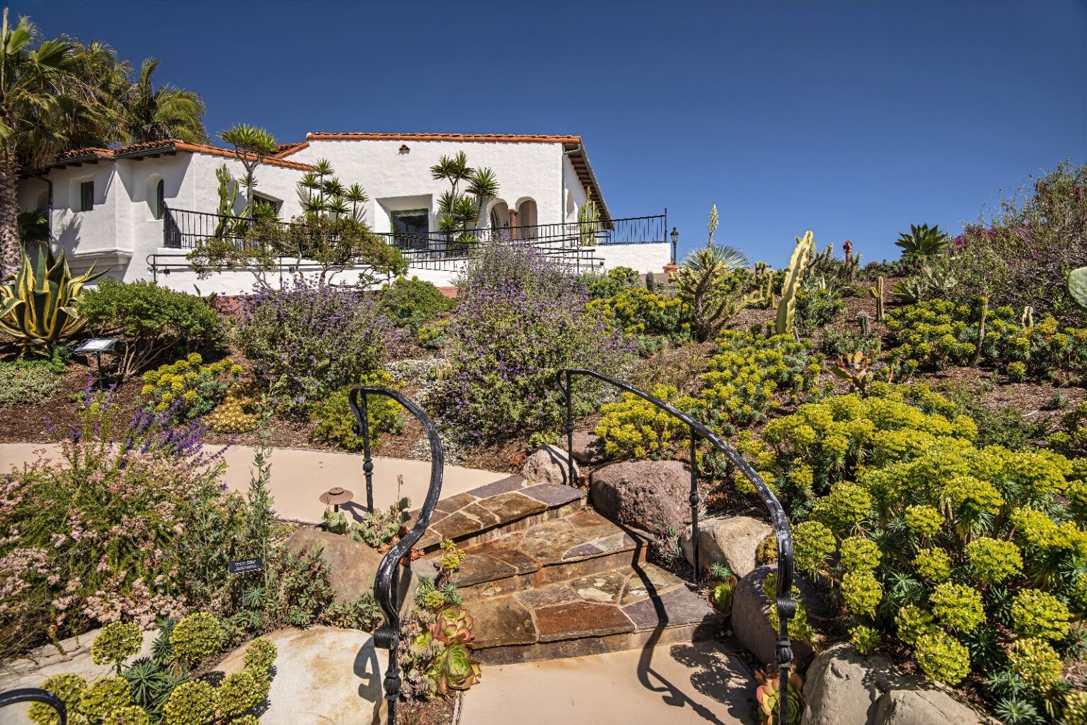 Bemus Landscape - Commercial Landscaping