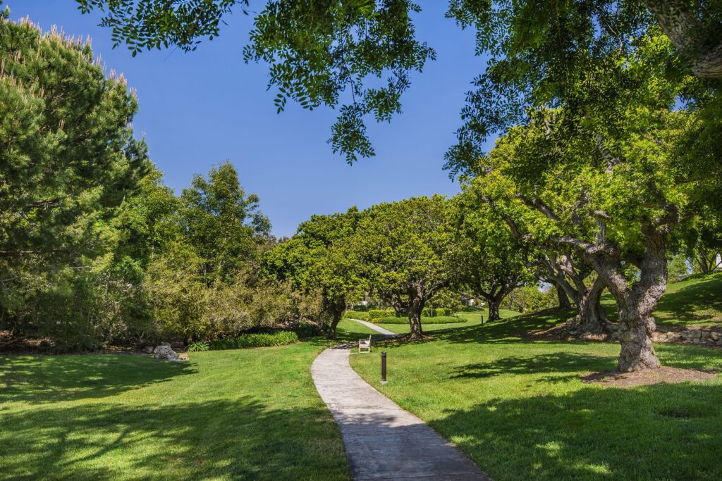 Bemus Landscape - Commercial Landscaping